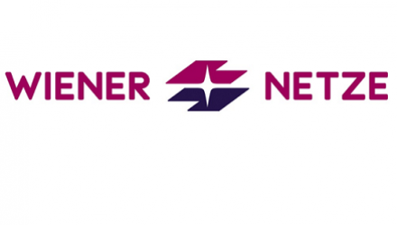 Wiener Netze GmbH | EEG Faktura Handbuch & Dokumentation
